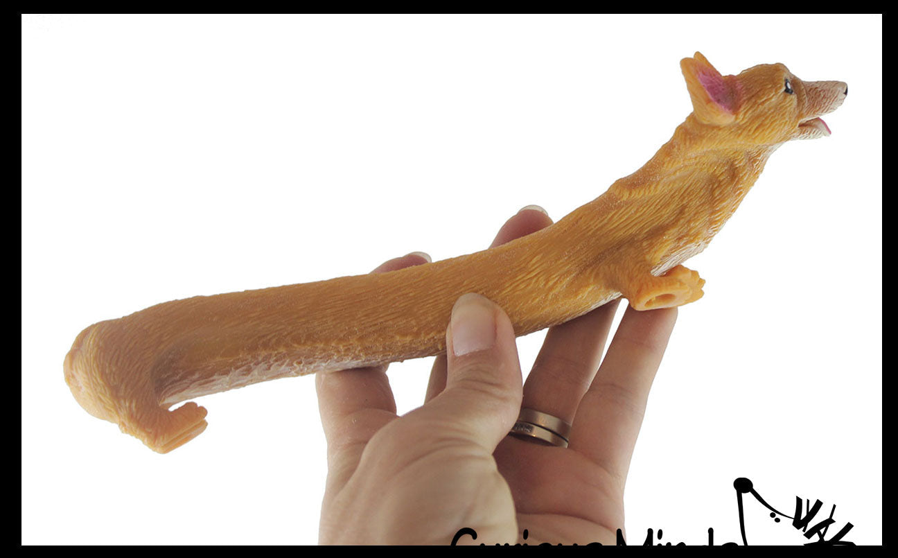 Set of 5 Different Breed Stretchy Dogs - Corgi, Golden Retriever, Coll ...