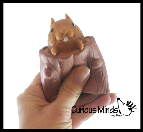Squirrel in Stump - Adorable Pop Up - Cute Squeeze Toy - Fun Fidget ...