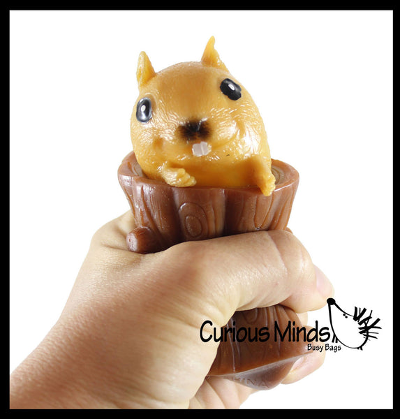 Squirrel in Stump - Adorable Pop Up - Cute Squeeze Toy - Fun Fidget ...