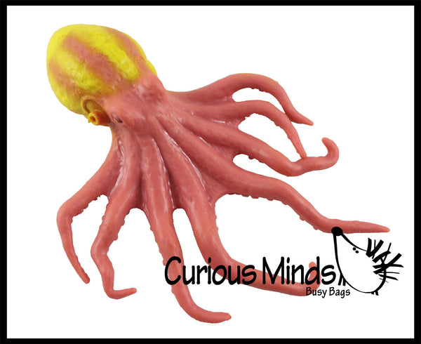 Stretchy Octopus - Squishy Sensory Fidget Toy - Stress Relief - Builds ...