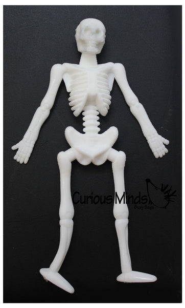 Stretchy Skeleton - Fidgets - Anatomy - Halloween | Curious Minds Busy Bags