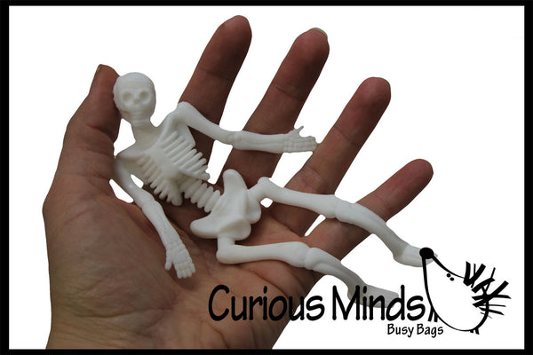Stretchy Skeleton - Fidgets - Anatomy - Halloween | Curious Minds Busy Bags