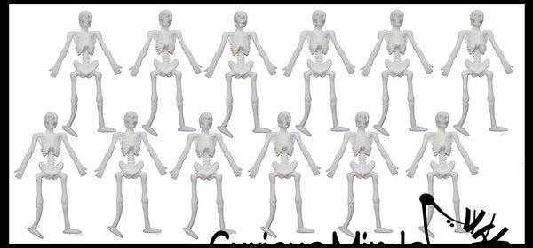 Stretchy Skeleton - Fidgets - Anatomy - Halloween | Curious Minds Busy Bags