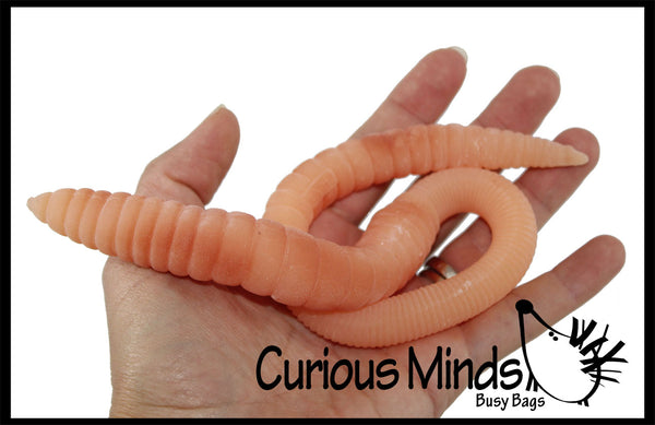 Stretchy Worm - Squishy Sensory Fidget Toy - Stress Relief - Builds Re ...
