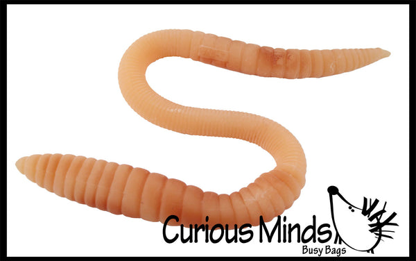 Stretchy Worm - Squishy Sensory Fidget Toy - Stress Relief - Builds Re ...