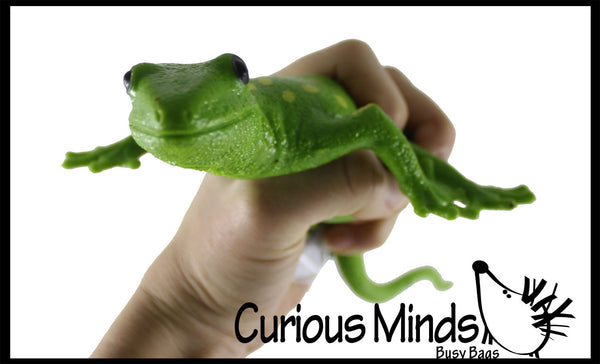 Stretchy Lizard Toy - Fidget - Stress | Curious Minds Busy Bags