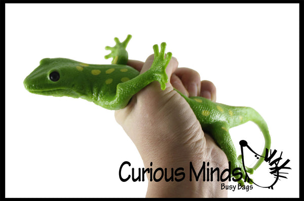 Stretchy Lizard Toy - Fidget - Stress | Curious Minds Busy Bags